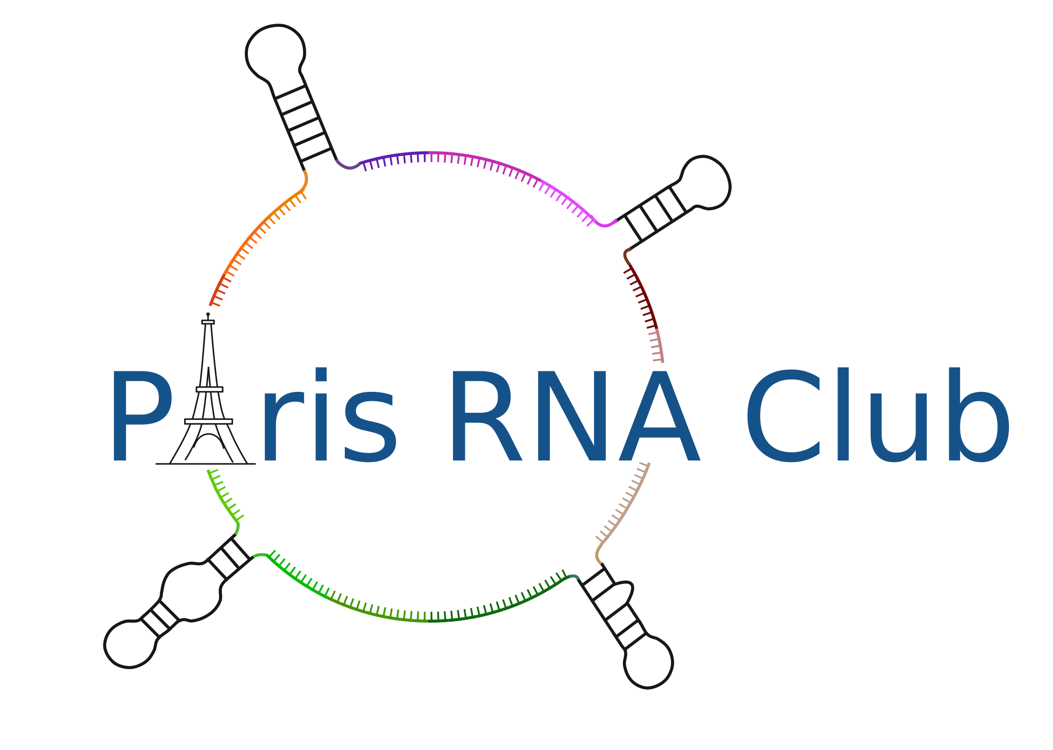 Paris RNA Club